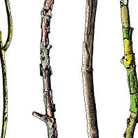 Learning Writing With Sticks And Stones - Activity For Kids